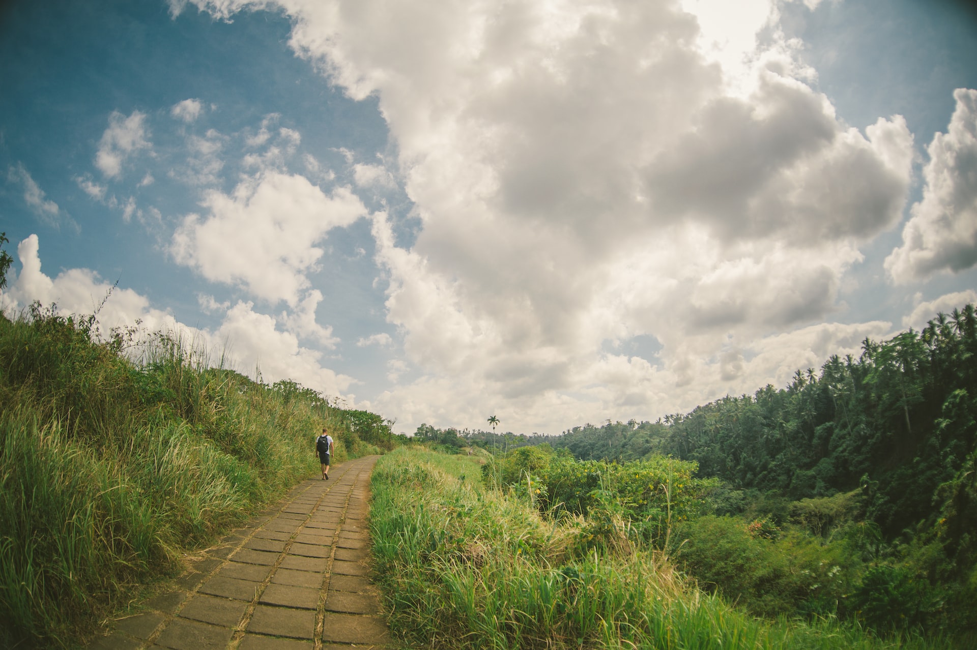 Campuhan Ridge Walk - Nata Ubud